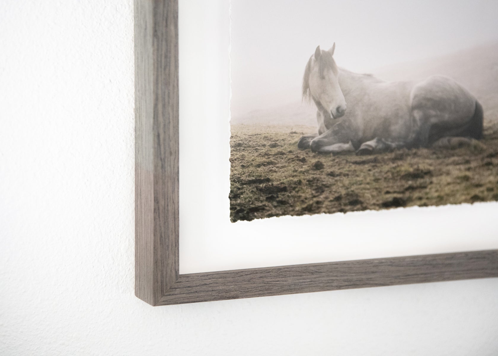 Float Frames – Richard Photo Lab