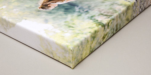 Canvas – Richard Photo Lab